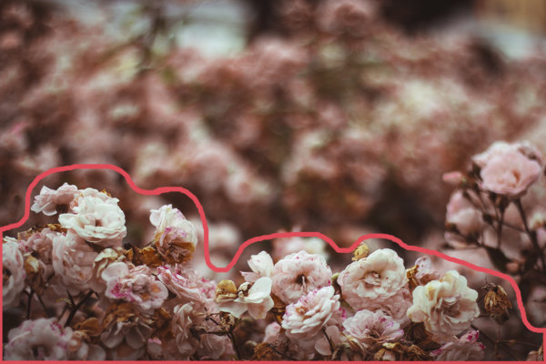 3 Fotografie Gestaltungs-Regeln die DU kennen musst!